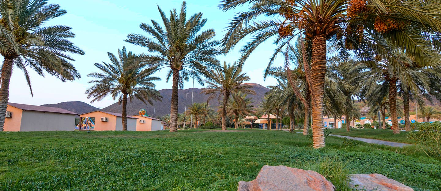 Investment in Hail Parks | Bayut Blog